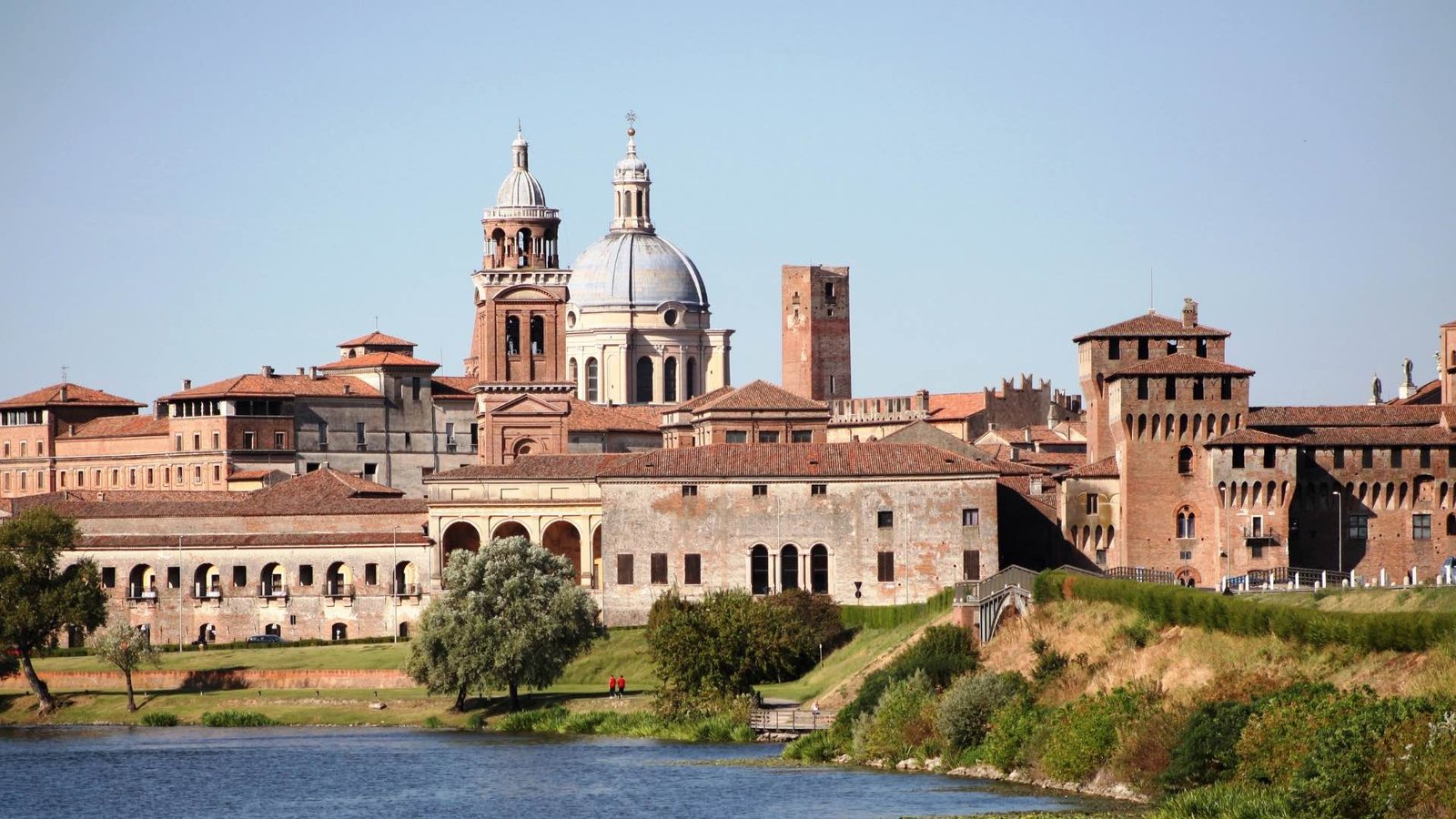 Dedalux Web Agency Mantova | Agenzia Web e Social Marketing